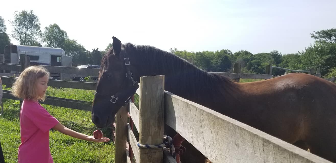 Feed Animals In Louisville And Hiking At Blackacre