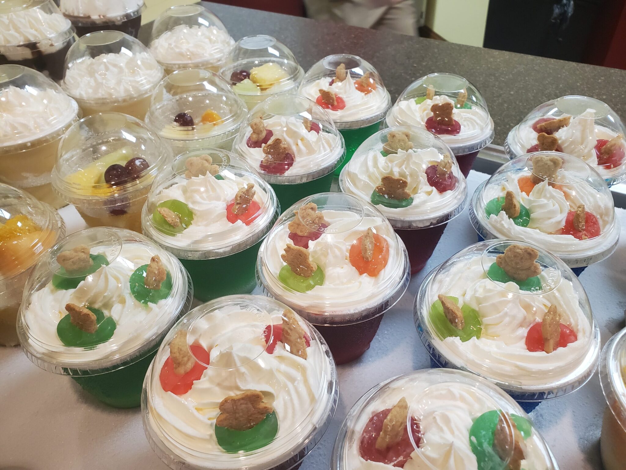 Holiday World or Kentucky Kingdom - Louisville Family Fun