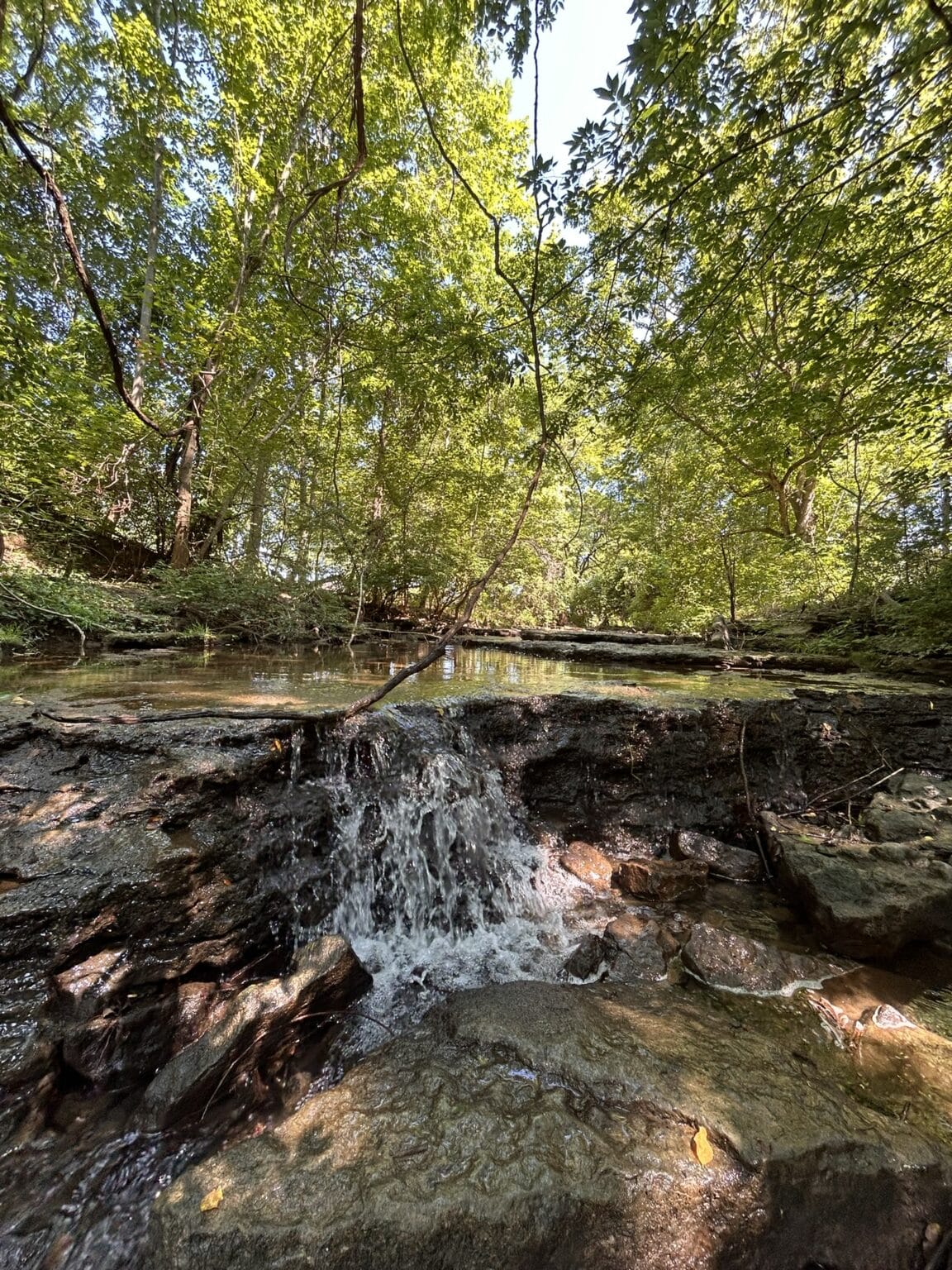 50+ Free FUN things to do around Louisville - Family Fun