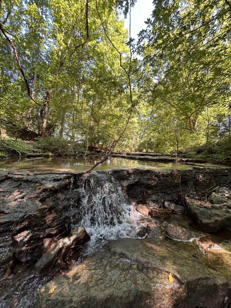 50+ Free FUN things to do around Louisville - Family Fun